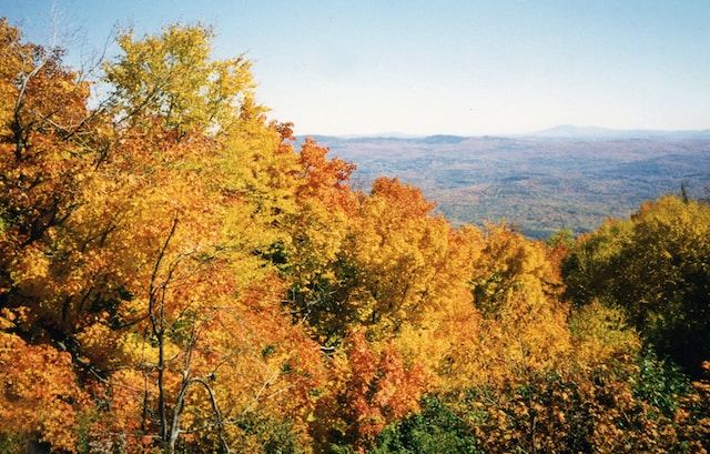 10 Quaint Towns In Vermont To Explore This Fall