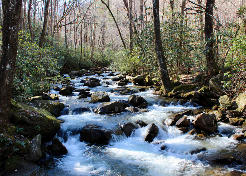10 Scenic Places To Explore In The South Carolina Mountains