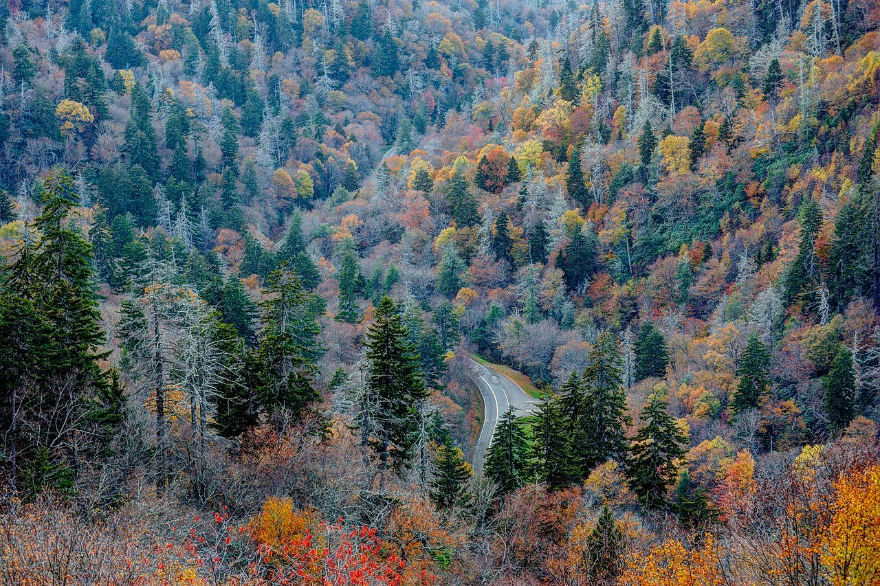 10 Scenic Smoky Mountain Vacations To Add To Your Bucket List