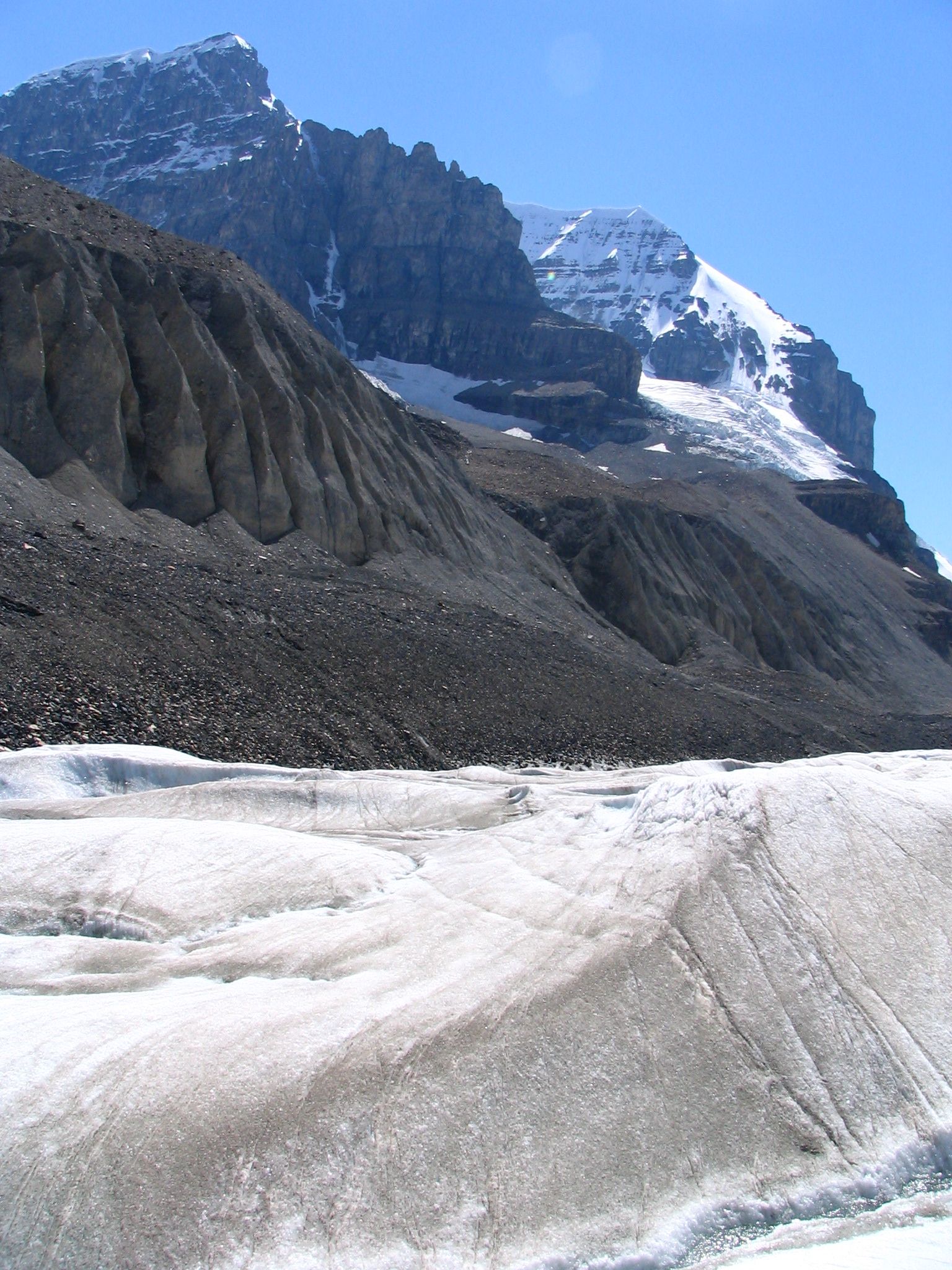 13 Things To Do At Wilcox Pass, Jasper National Park, Canada