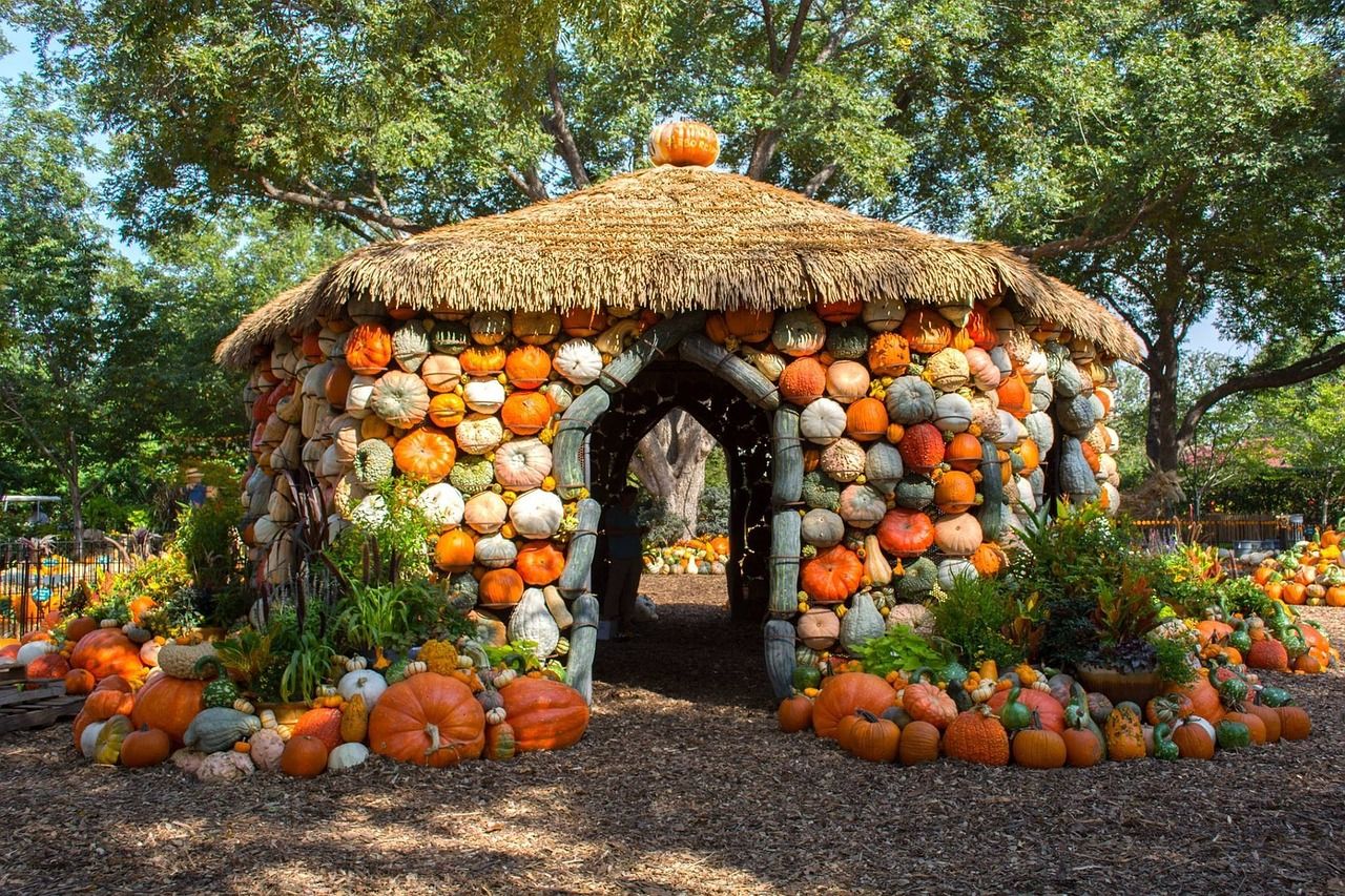 These Are The 10 Biggest (And Best) Pumpkin Patches In The Country
