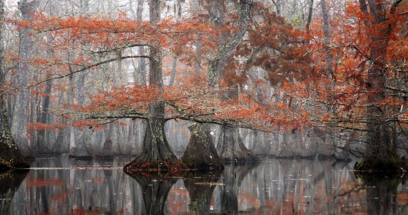 10 Most Beautiful Small Towns In Louisiana