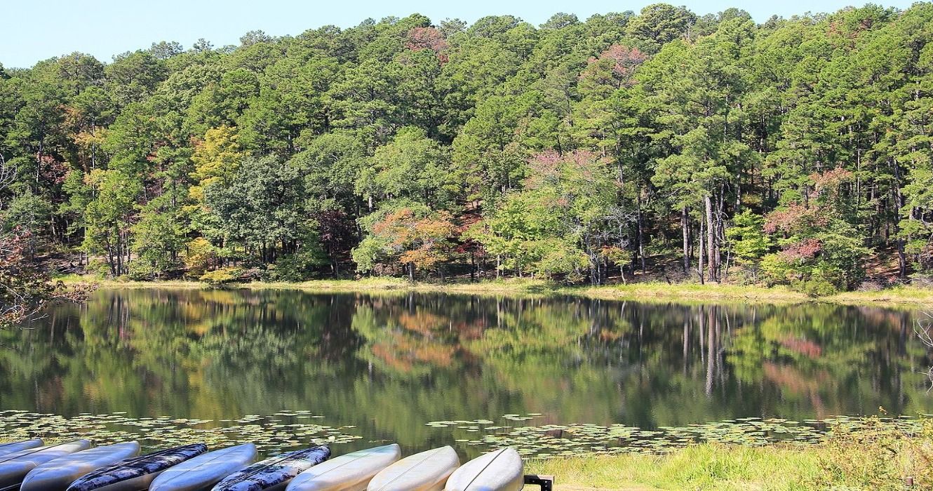 7 (Surprising) Texas Spots Where You Can See Fall Colors