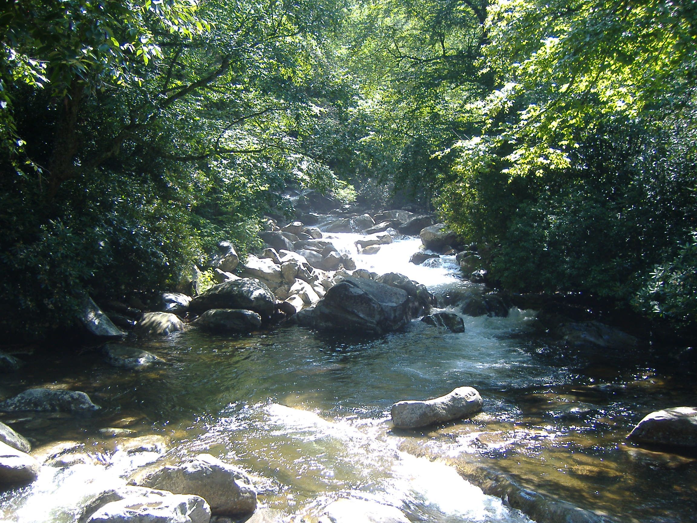 10 Things To Do in The Smoky Mountains: Complete Guide To Tennessee's ...