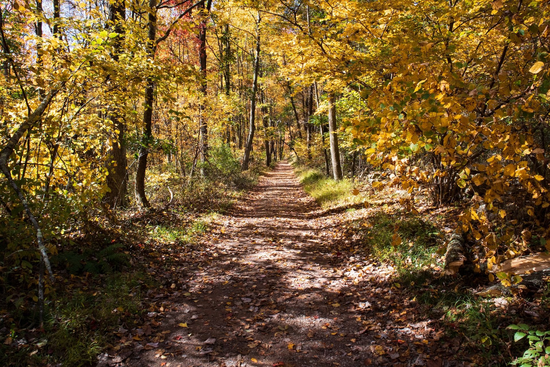 10 Things To Do In Jim Thorpe: Complete Guide To Pennsylvania's Scenic ...