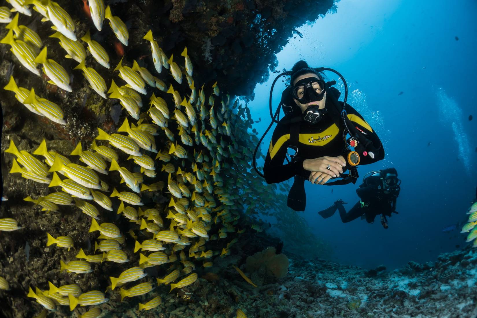 Hundreds Of Scuba Divers Perish Each Year In The US: Here's Why