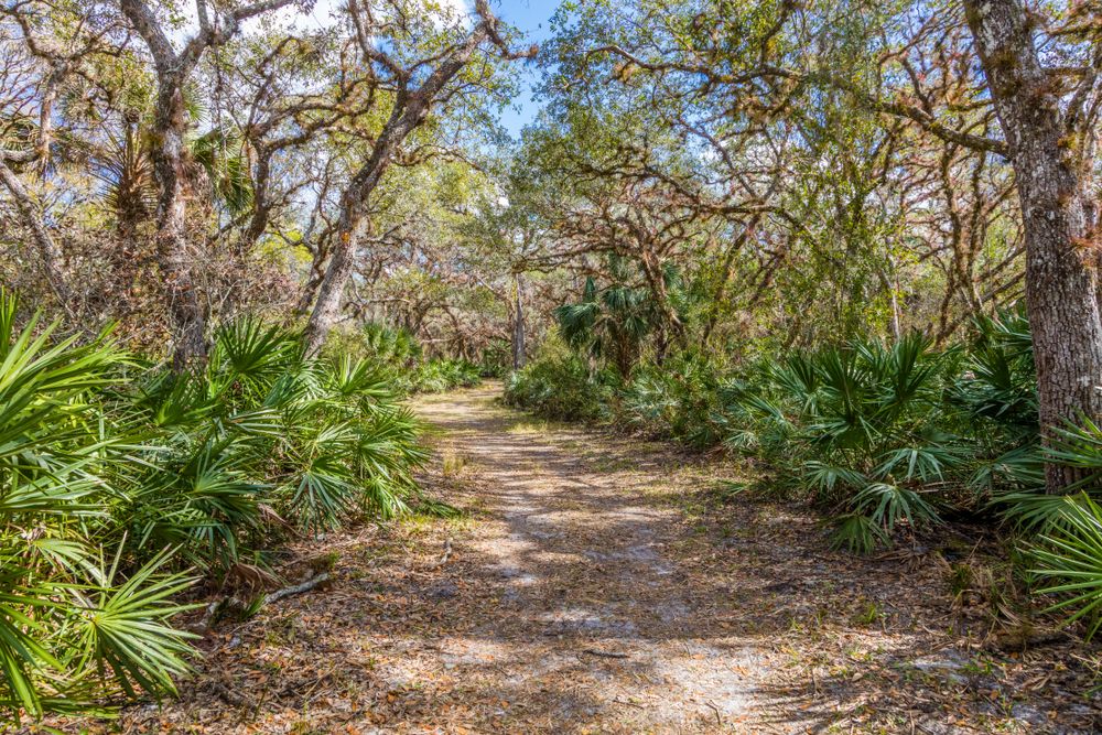 14 Things To Do In Venice: Complete Guide To A Bit Of Italy In Florida