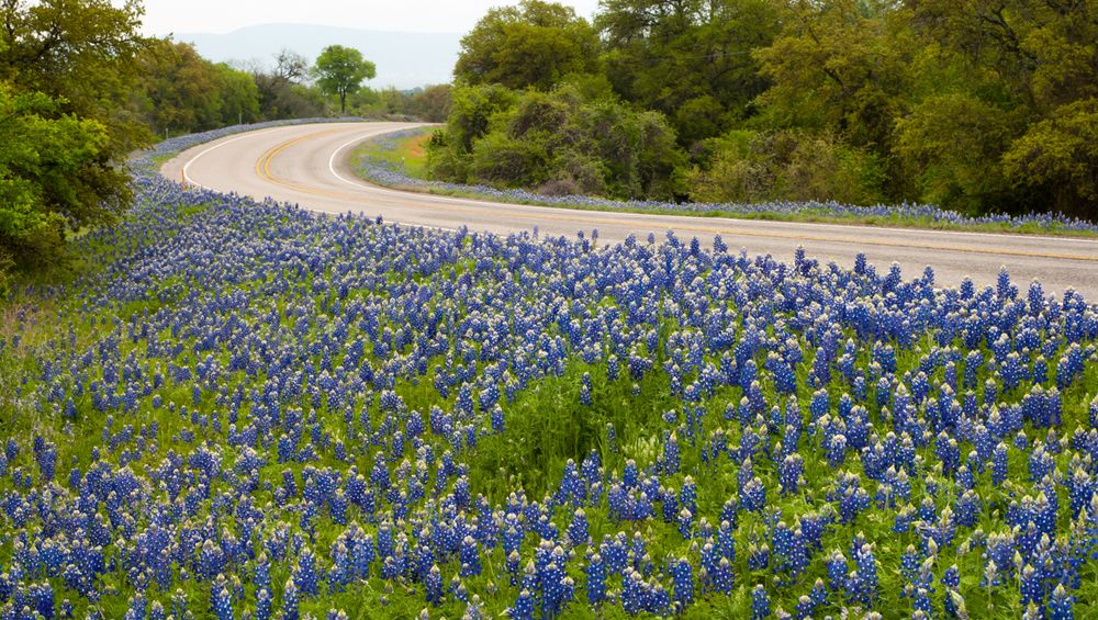 10 Things To Do In Texas Hill Country: Complete Guide To The Most ...