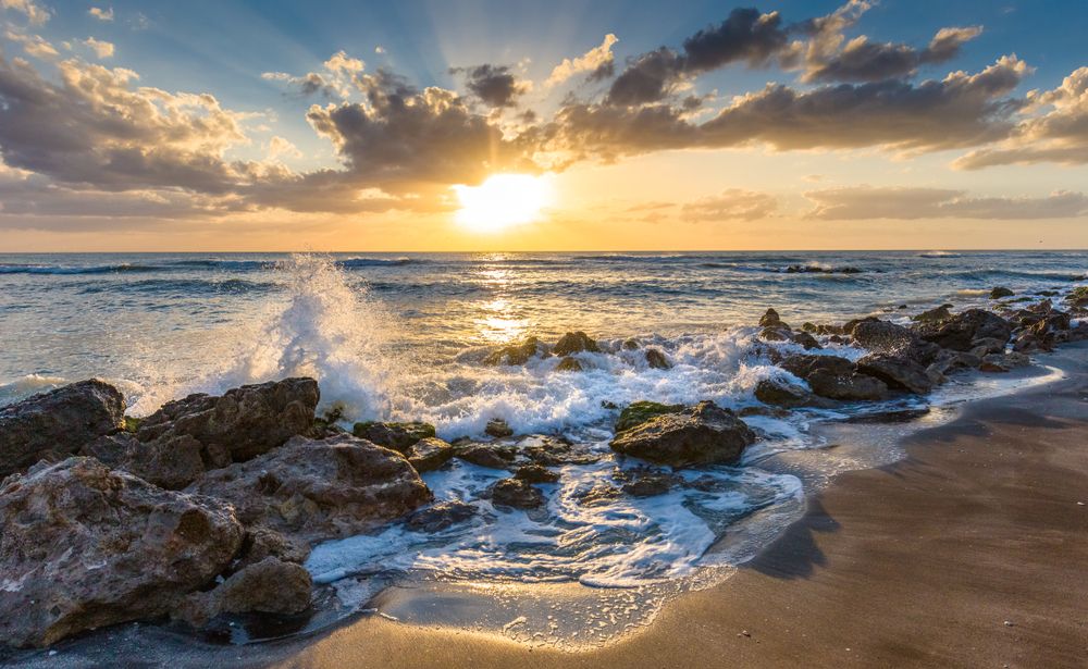Chapa Venecia Playa Florida Tropical Cuisine Focused Paya Opens On