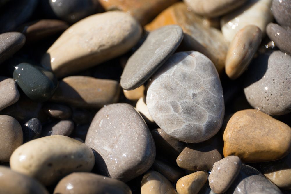 10 Best Rock Hunting Beaches In Lower Michigan