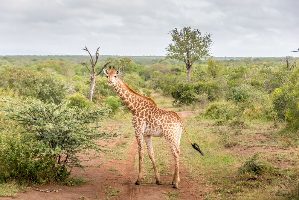 10 Attractions To Enjoy When Visiting Eswatini (Swaziland) In Southern ...