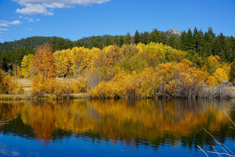 Here's Where You Can See Beautiful Fall Foliage In Lake Tahoe