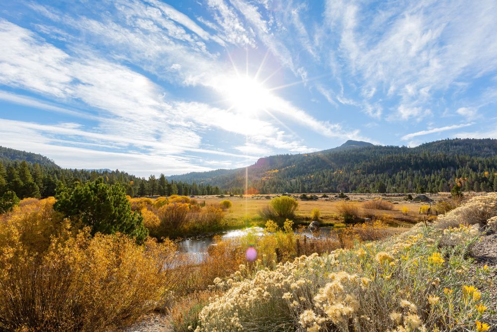 Here's Where You Can See Beautiful Fall Foliage In Lake Tahoe
