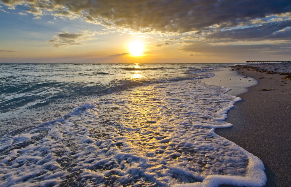 14 Things To Do In Venice: Complete Guide To A Bit Of Italy In Florida