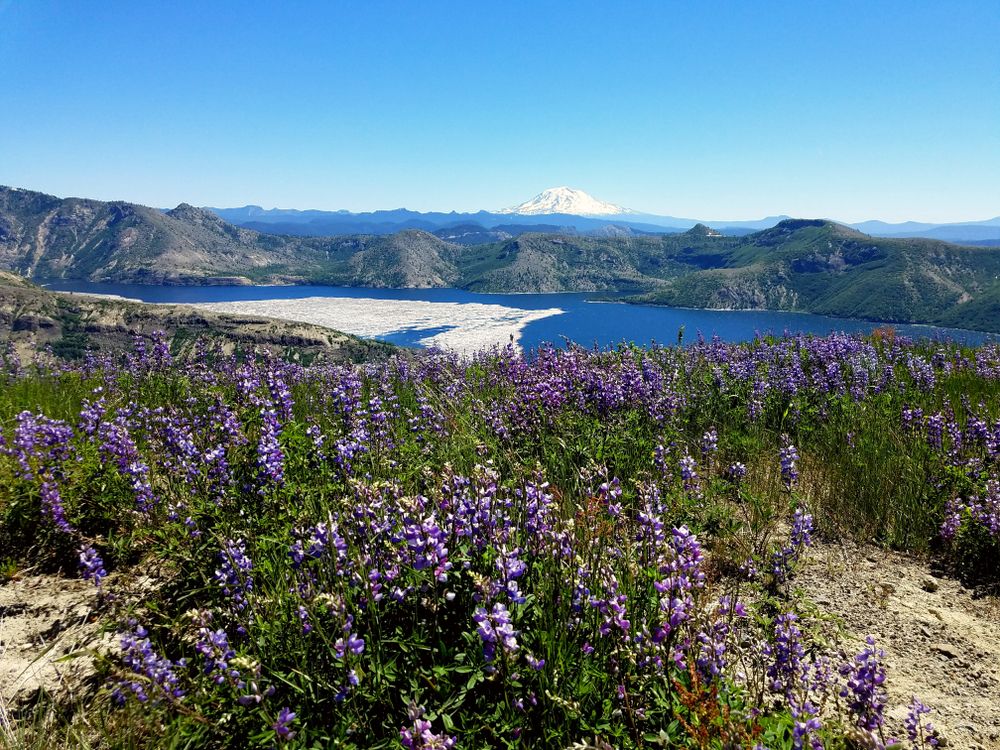 10 Things To Do In St. Helens: Complete Guide To Oregon's Real-Life ...