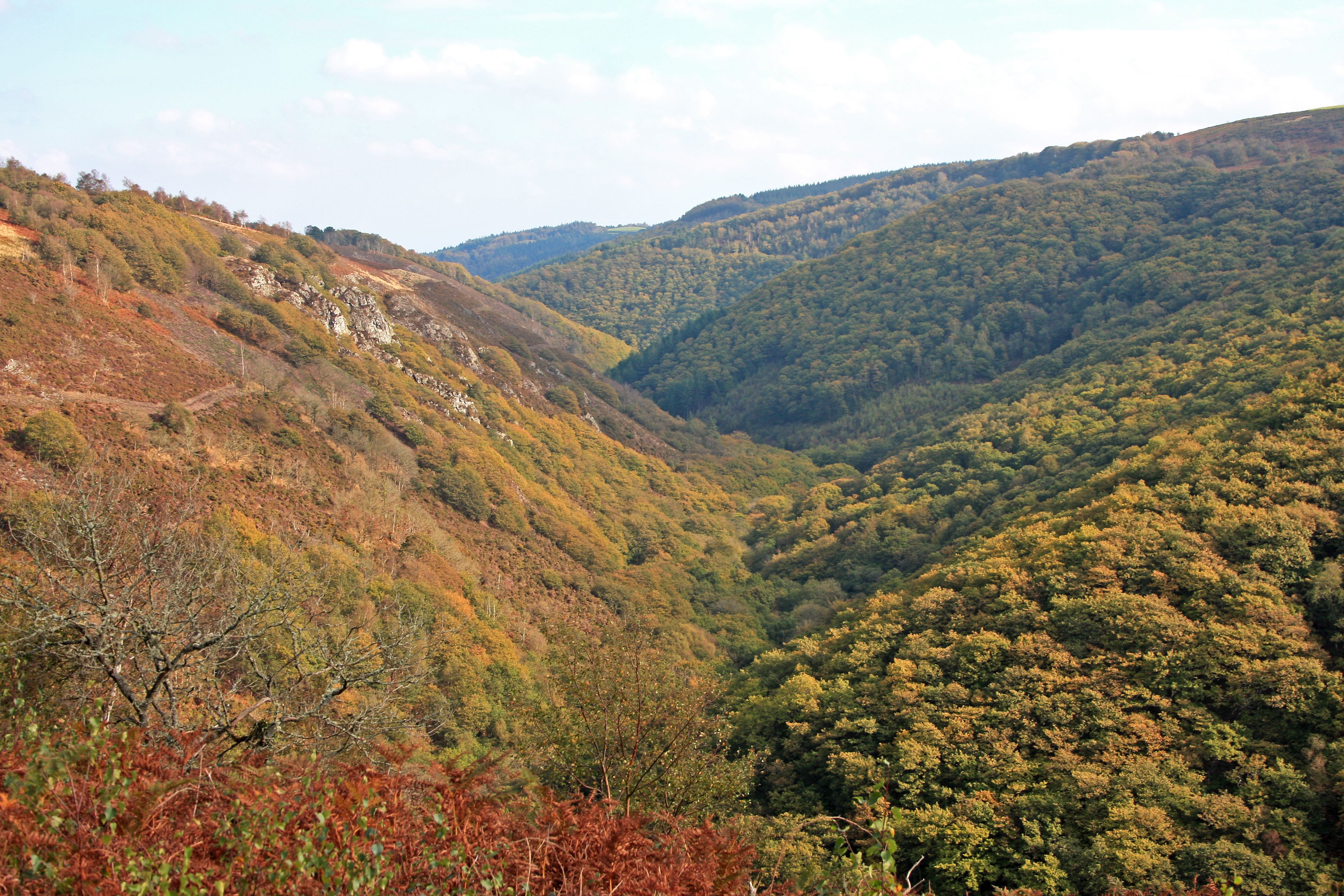 10 Best Hikes In The UK With The Most Gorgeous Fall Foliage Colors