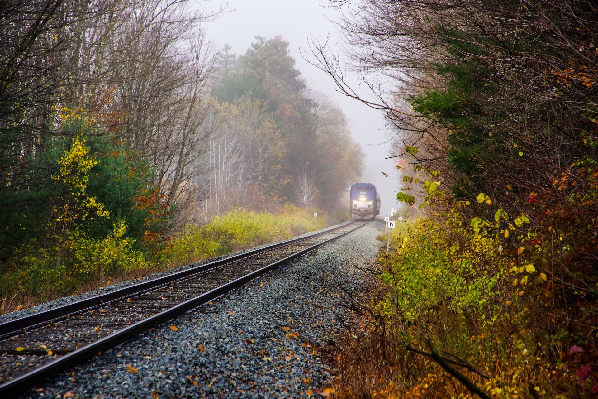 10 Scenic Amtrak Trains, Ranked By Visitor Reviews