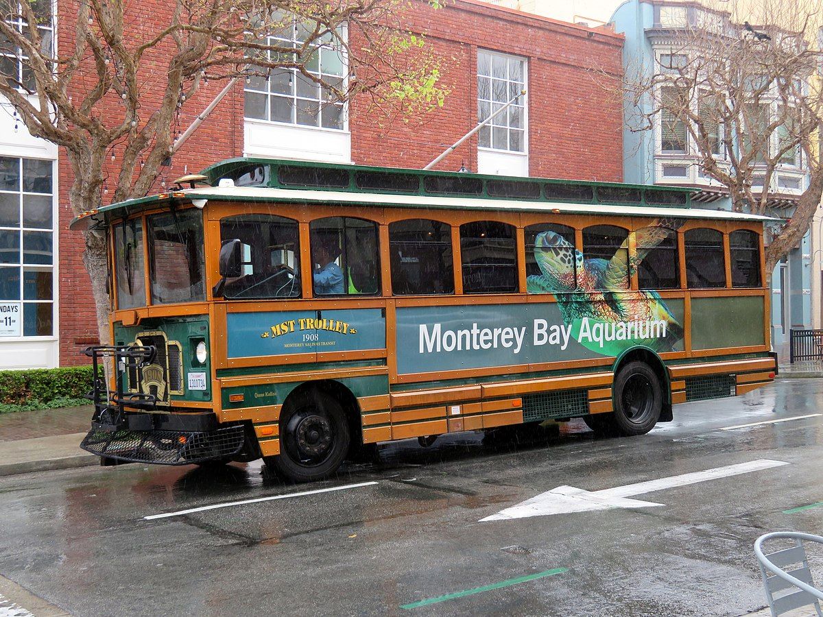 10 Scenic Eco-Friendly Tours You Can Take In Monterey
