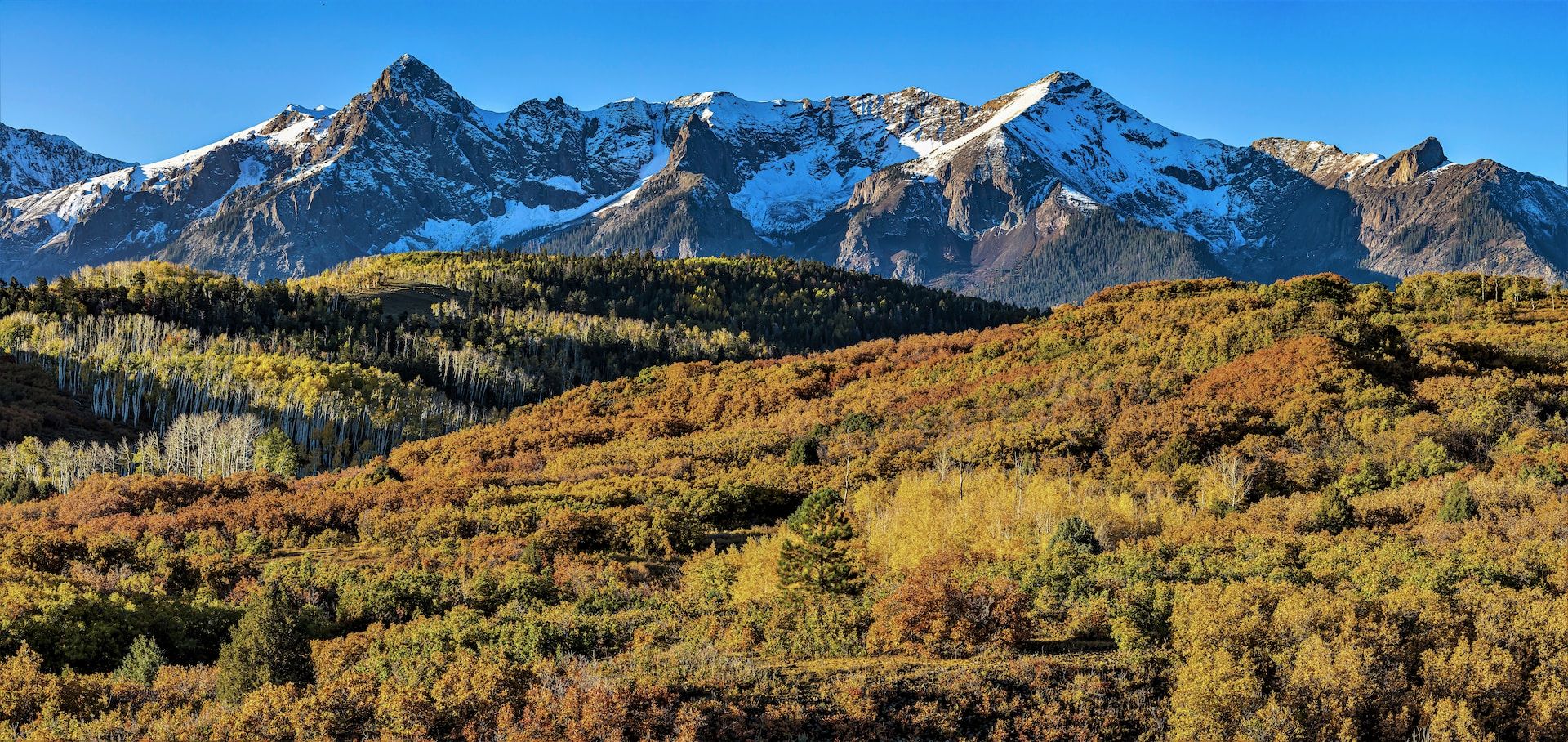 10 Places To Find Stunning Fall Foliage In Colorado