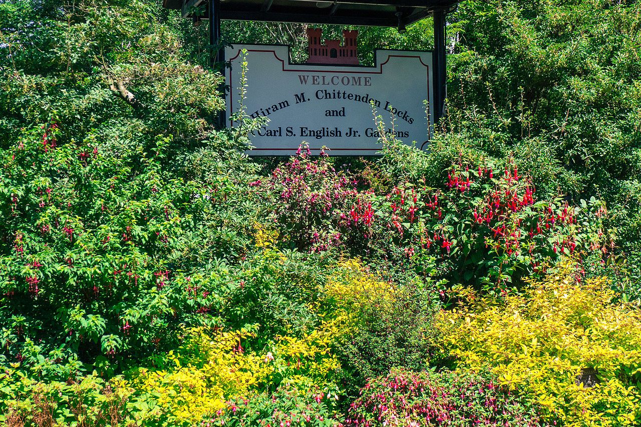 10 Surprisingly Free Things That You Can Do In Seattle