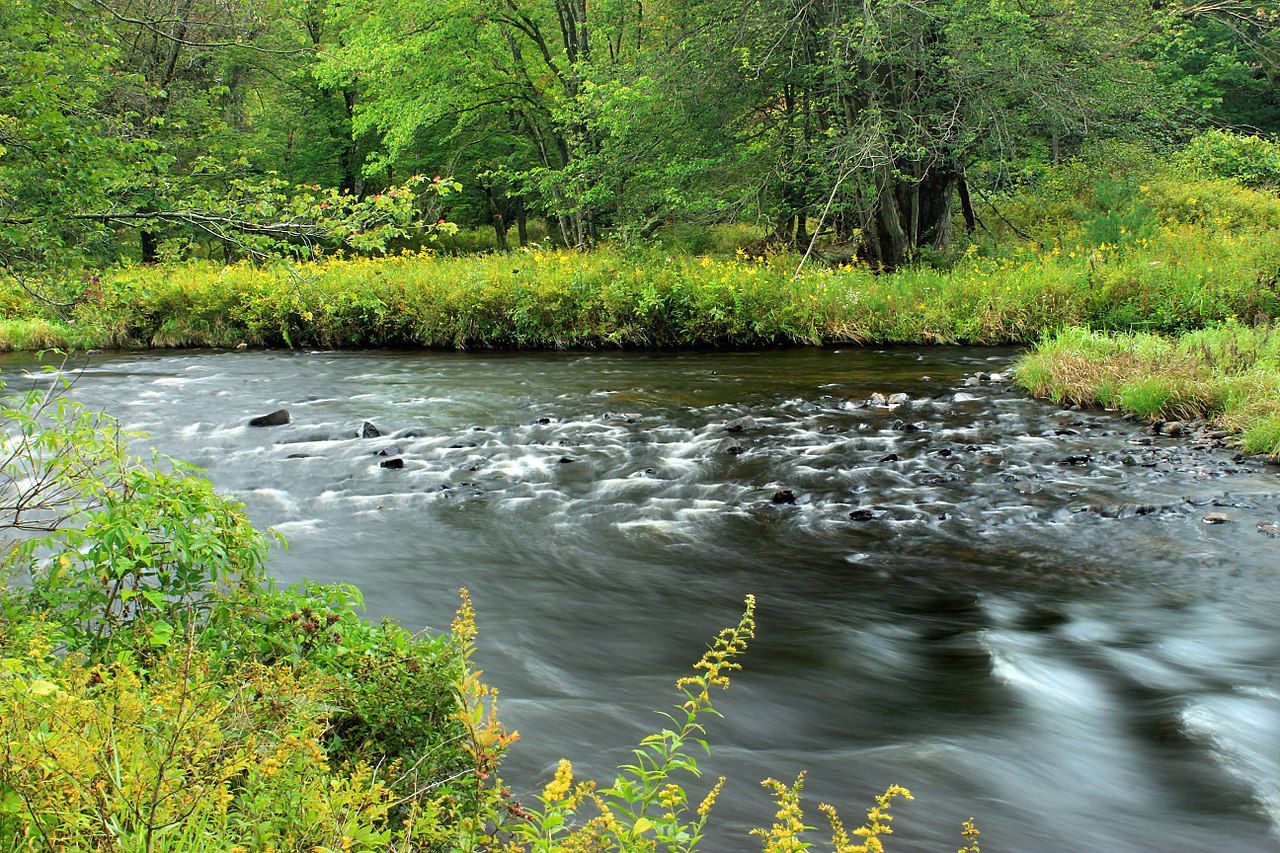 10 Beautiful Natural Places That You Need To See To Believe In Pennsylvania