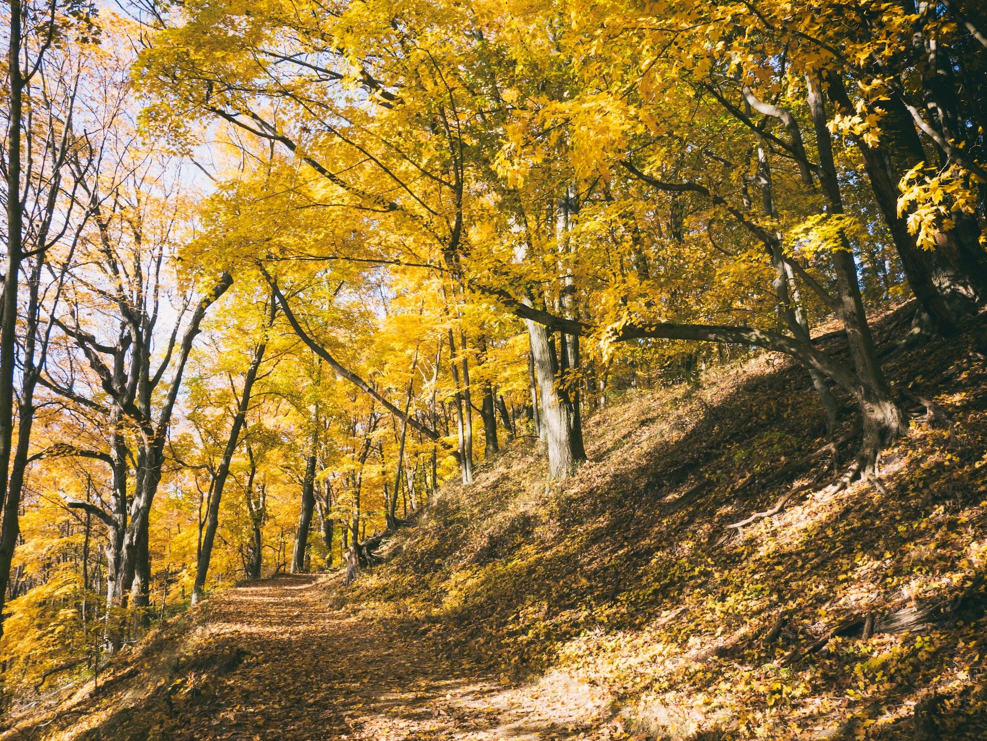 These Scenic Michigan Towns Are Even Better In The Fall