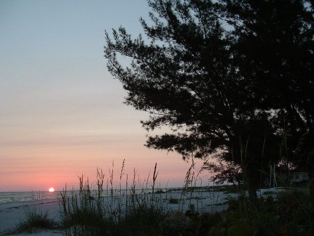 10 Things To Do On Anna Maria Island: Complete Guide To Florida's ...