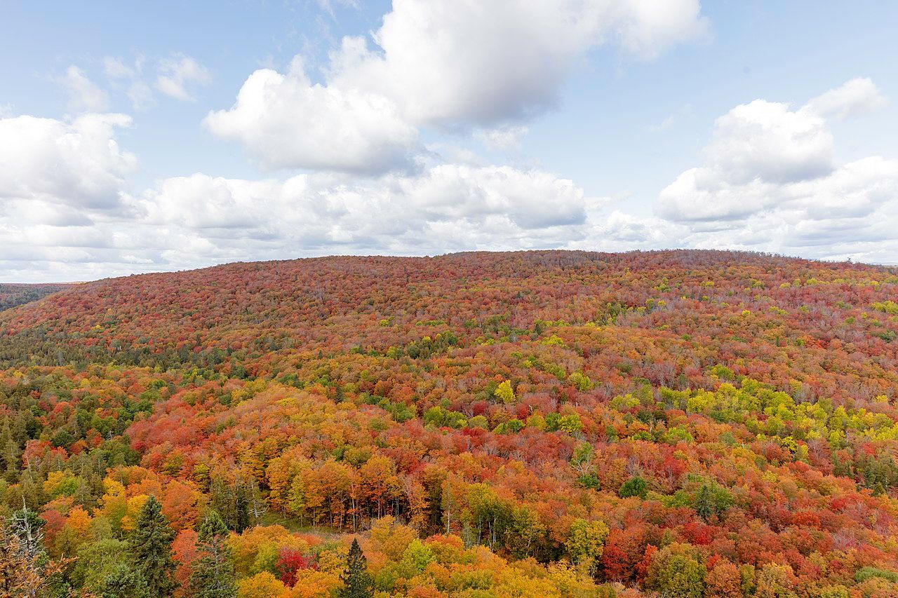 Top 10 Destinations In Minnesota To Visit This November Before Things ...