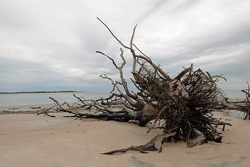 14 Perfect Beaches On Florida's East Coast