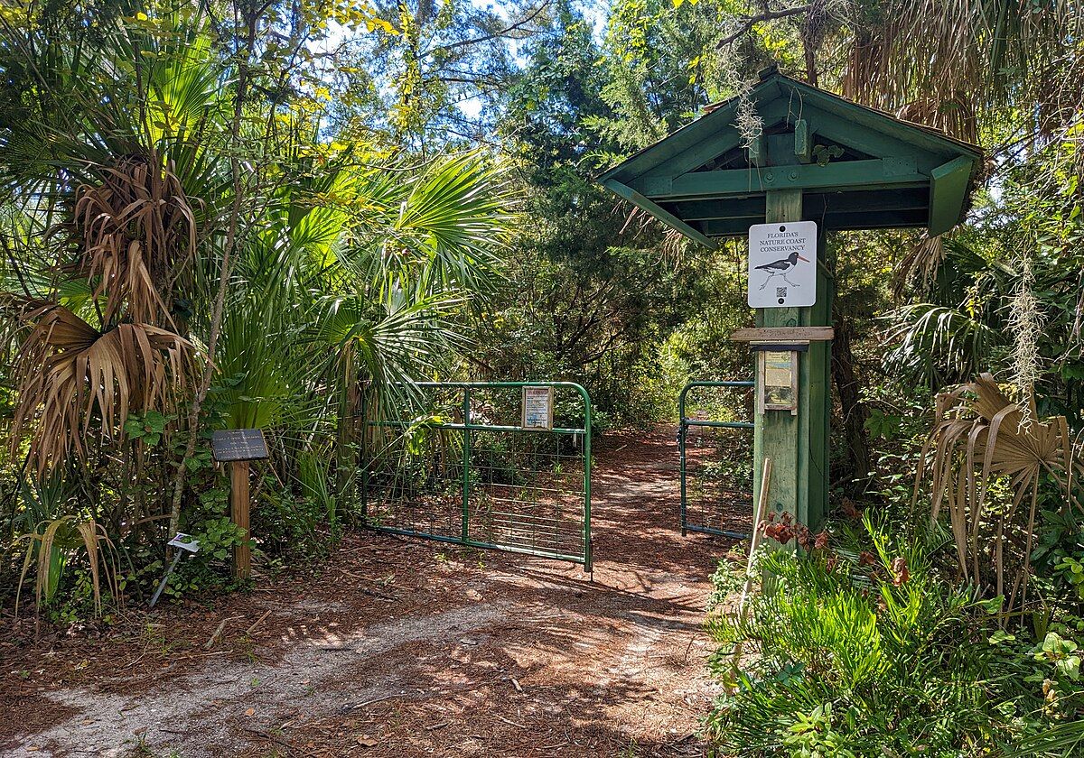 10 Things To Do In Cedar Key: Complete Guide To Florida's Tiny But ...