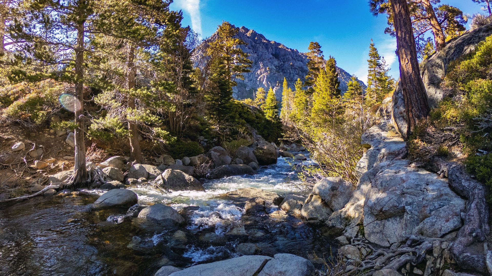 Exploring The Pacific Northwest: 10 Must-Do Fall Hikes If You're In ...
