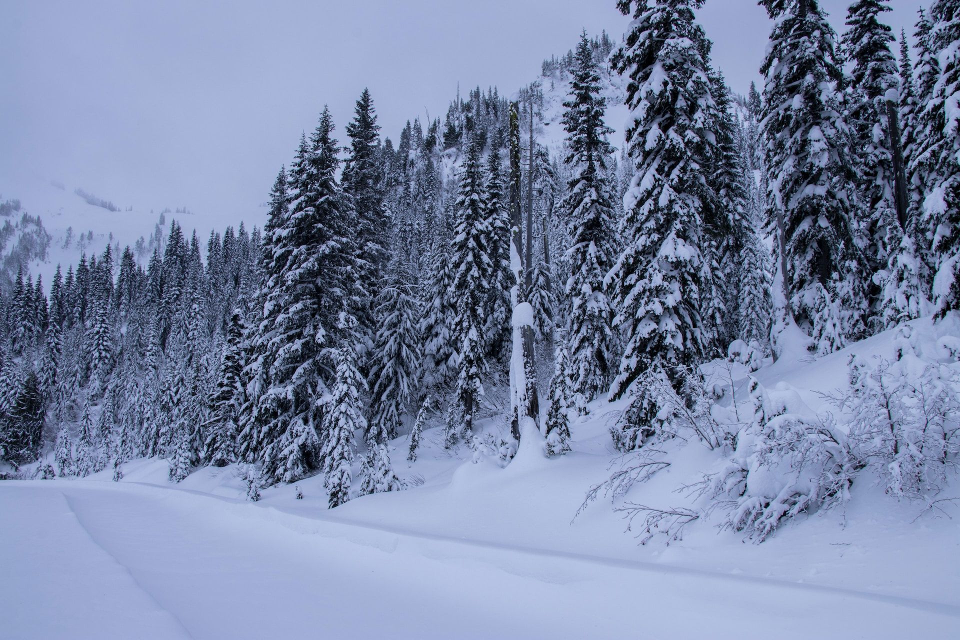 10 Snowiest Places In The US That Will Make You Love Winter
