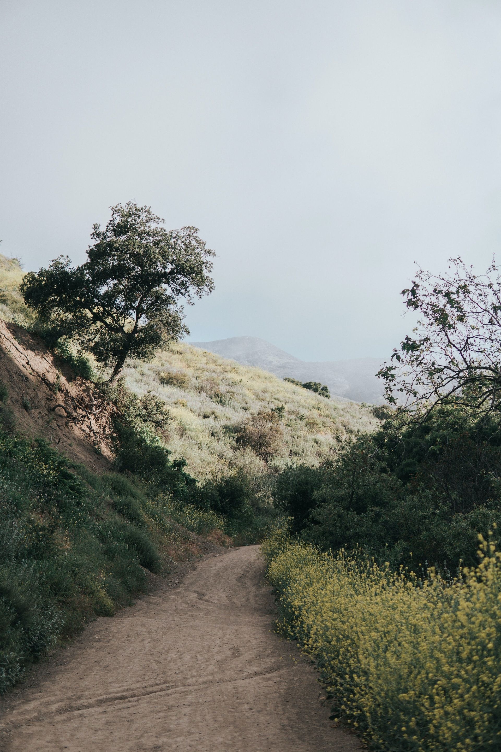 Haunts & Hikes: 10 Haunted Trails That Give Us The Creeps After Dark