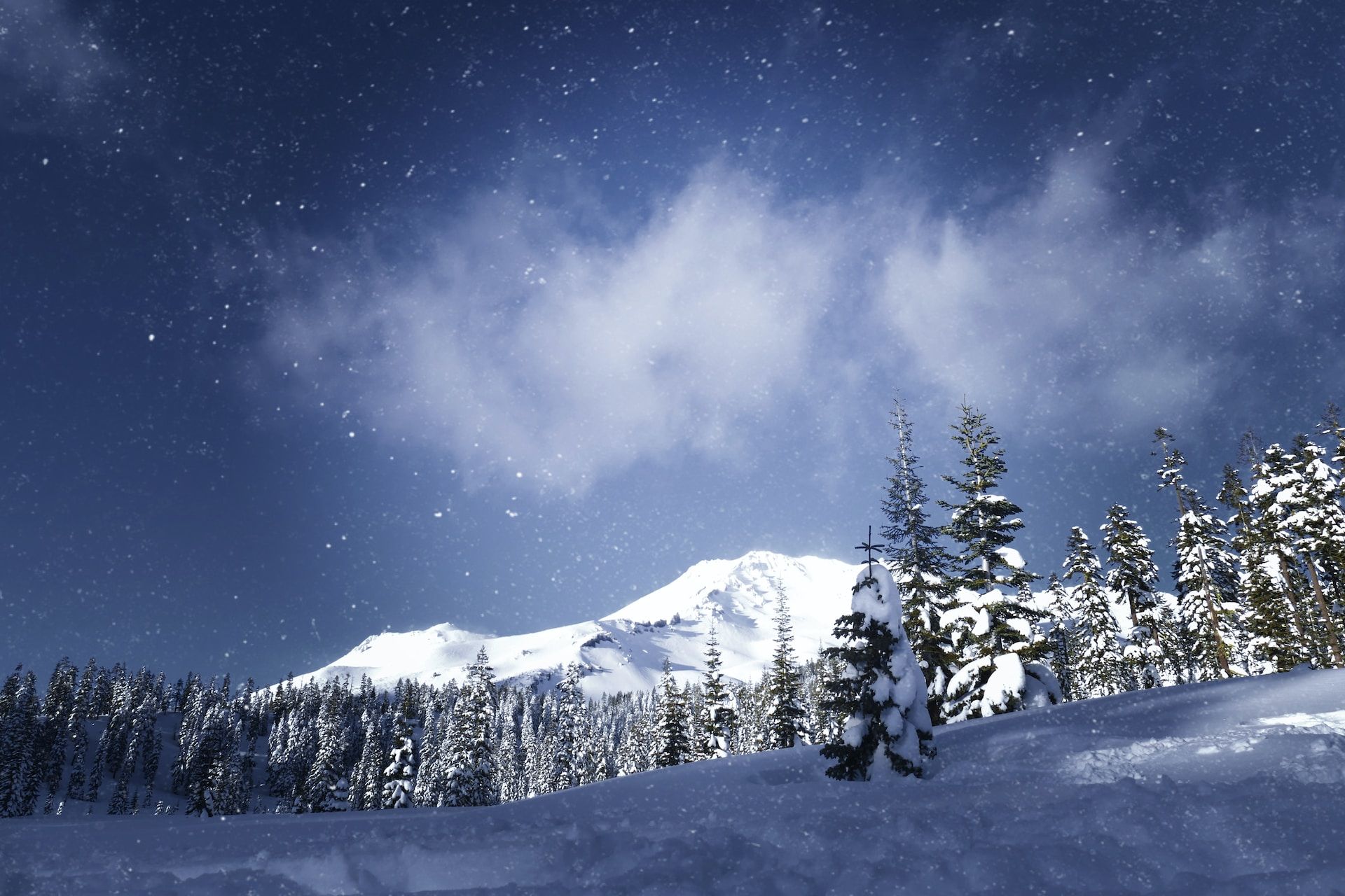 10 Amazing Trips To Take On The West Coast In The Winter