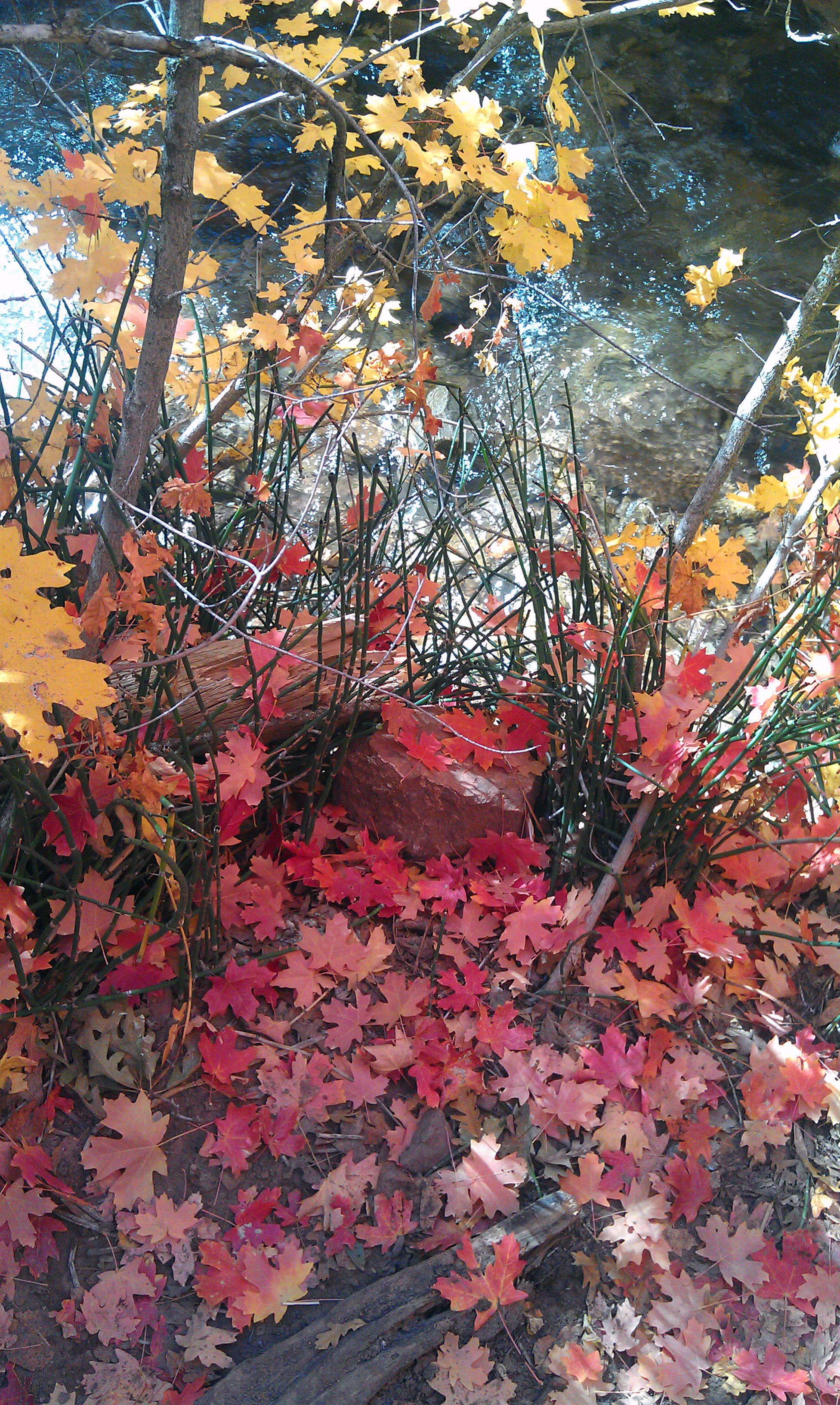 Mountain Retreats: 10 Cozy & Scenic Small Towns To Visit In October In Utah