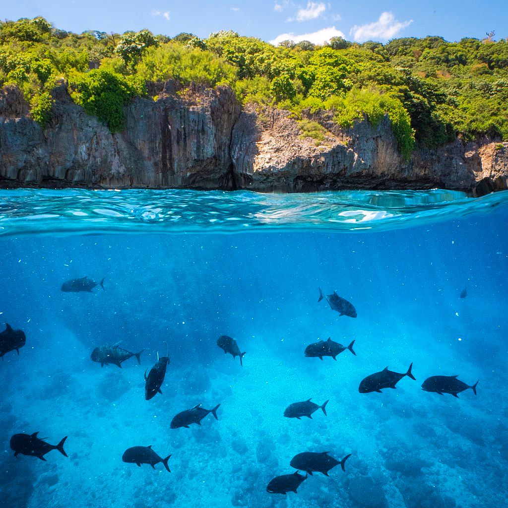 Christmas Island: 10 Amazing Things To Do On This Hidden Indian Ocean Gem