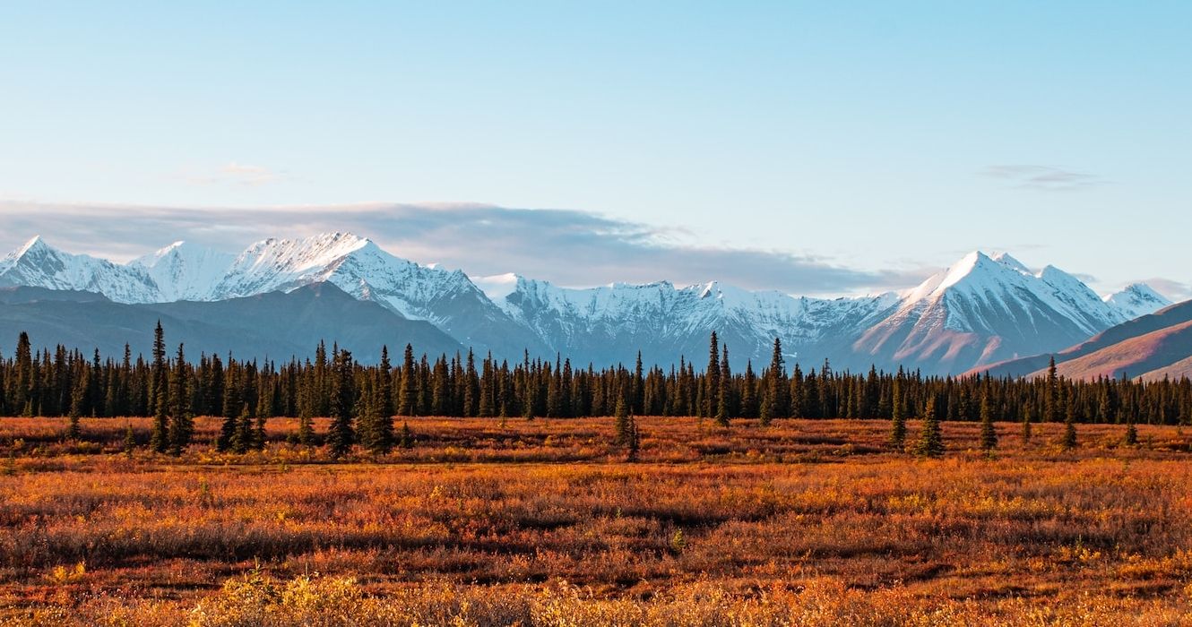 10 Things To Do In Denali National Park Region: Complete Guide To ...