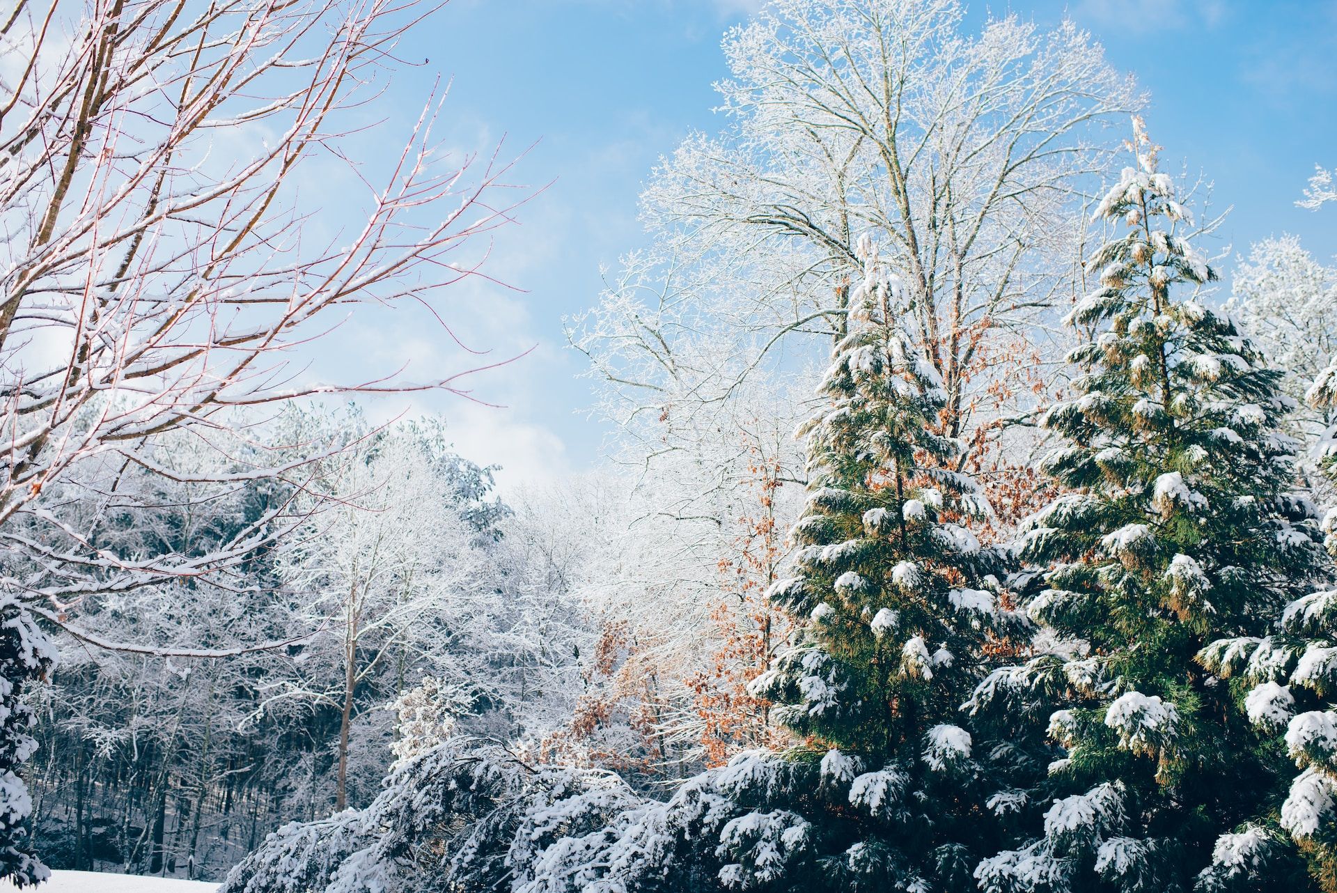 10 Most Beautiful Snow-Covered Small Towns To Visit In Pennsylvania ...
