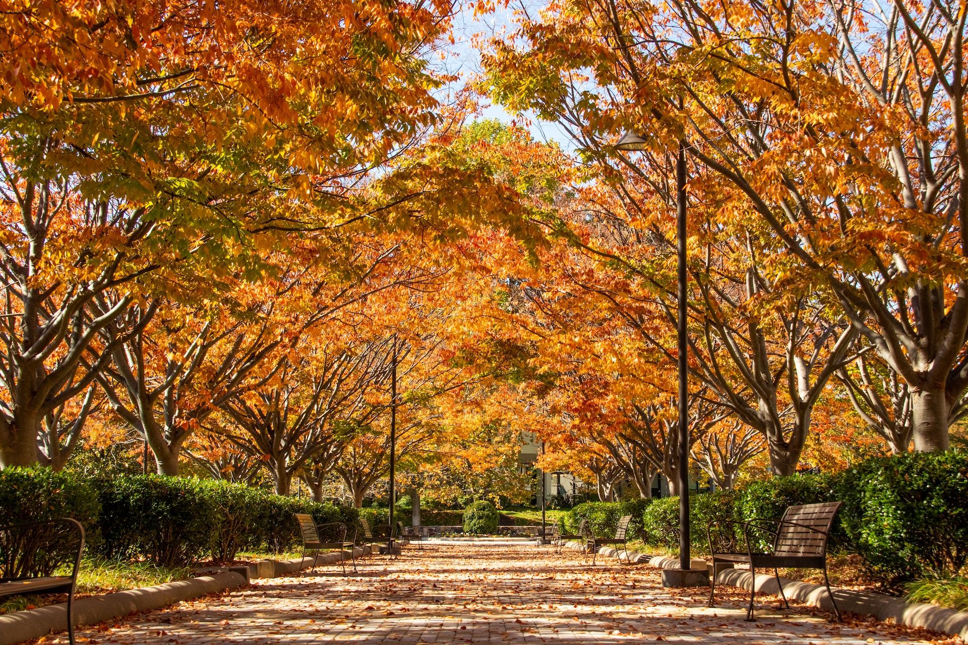 Rustic Retreats: 10 Small Towns For The Perfect Cozy Fall Escape in ...