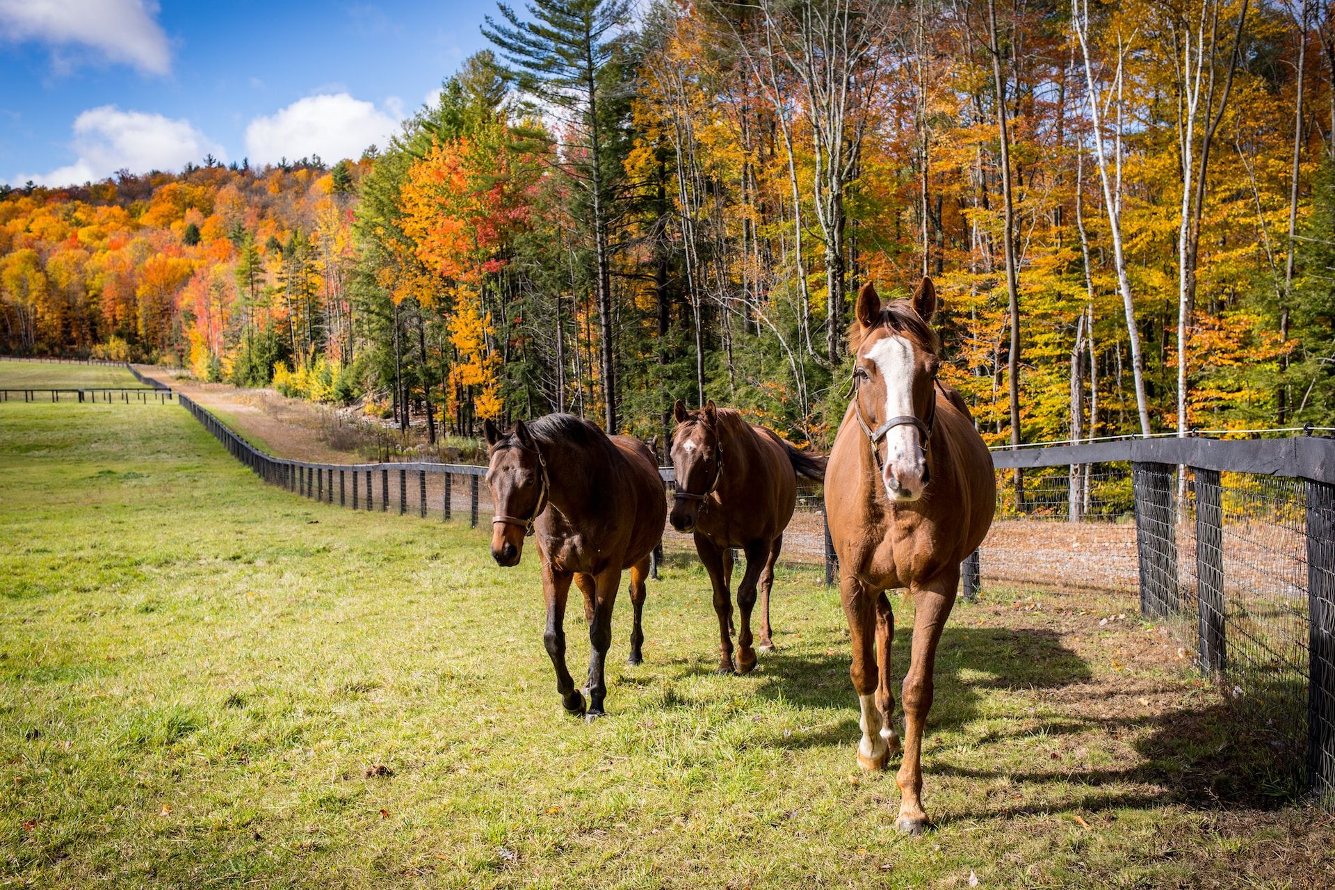 10 Most Scenic Mountain Resorts In The Adirondacks You Should Book In ...