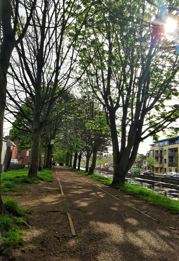 14 Most Beautiful Neighborhoods In Dublin, Ireland