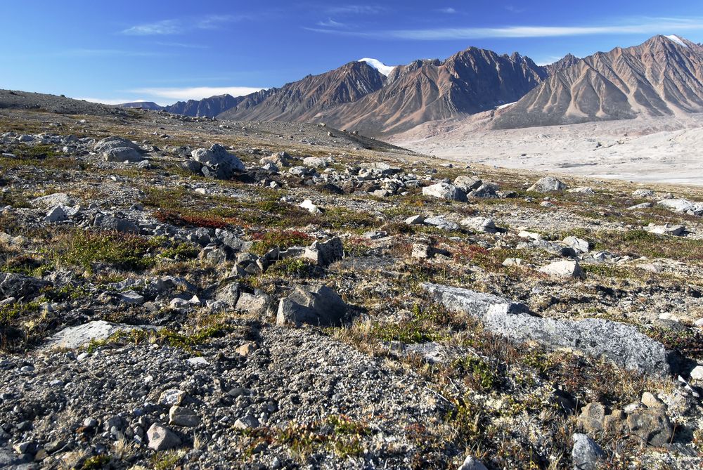 This Is The World's Largest National Park, & Here's What To Know About Visiting It