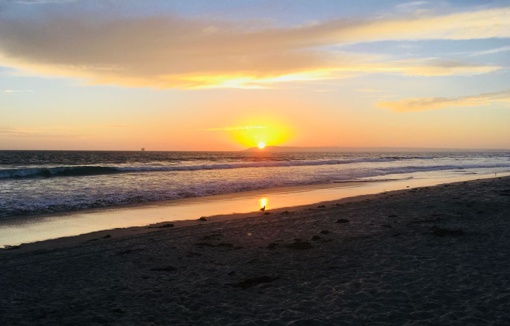 10 Things To Do Near The Channel Islands: Complete Guide To California ...