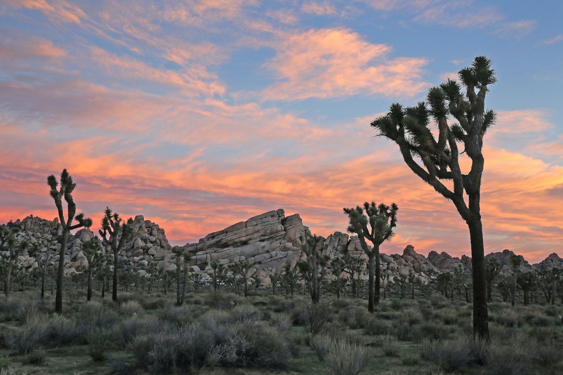 10 Things To Do Near Joshua Tree National Park: Complete Guide To ...