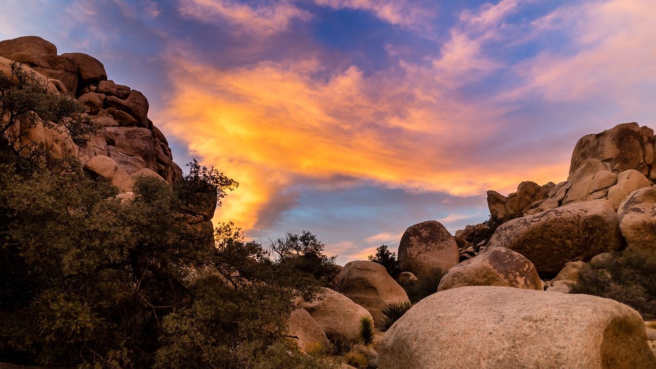 10 Scenic Hiking Trails In Joshua Tree National Park