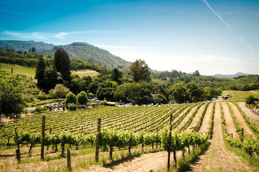 Scenic, But Underrated: This California Winery Is A Great Alternative ...