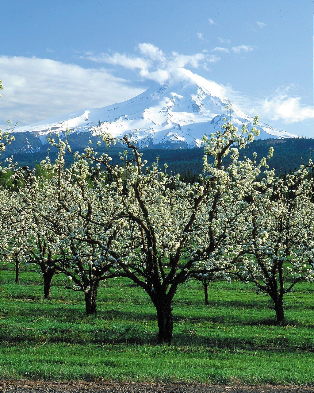 Underrated, But Scenic: This Small Town In Oregon Is A Great ...