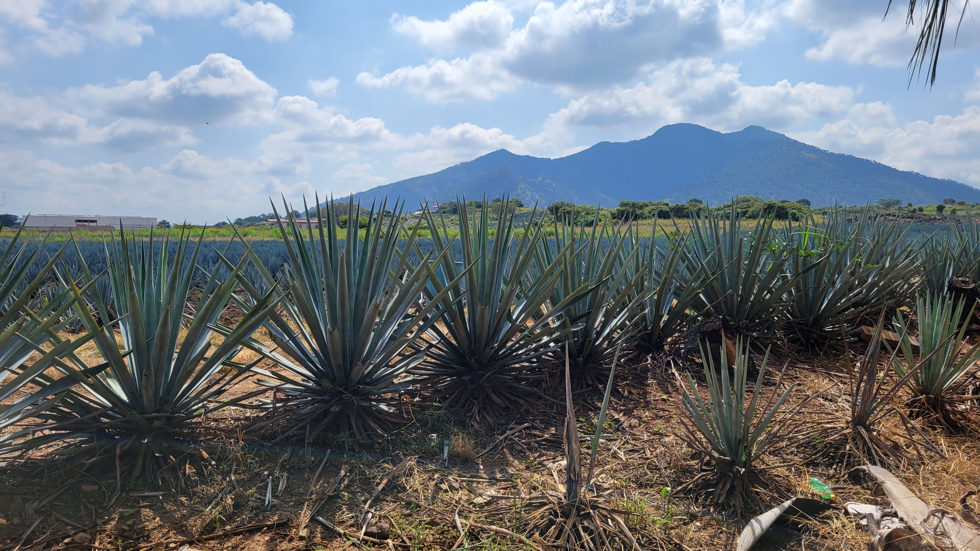 10 Bucket-List Worthy Activities To Experience In And Around ...