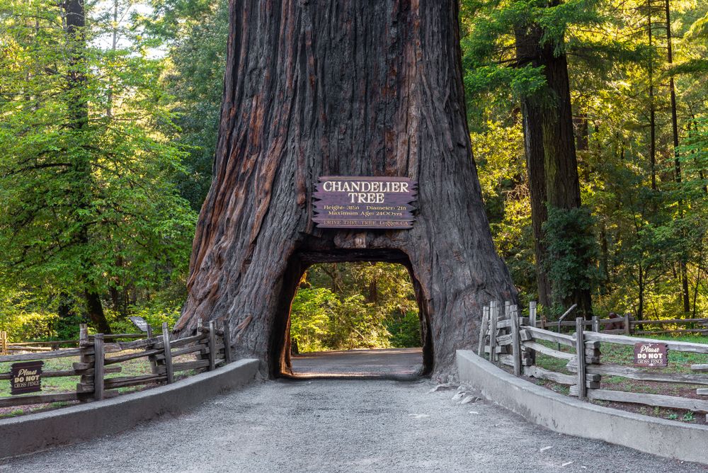 10 Unusual Places You Can Visit In California