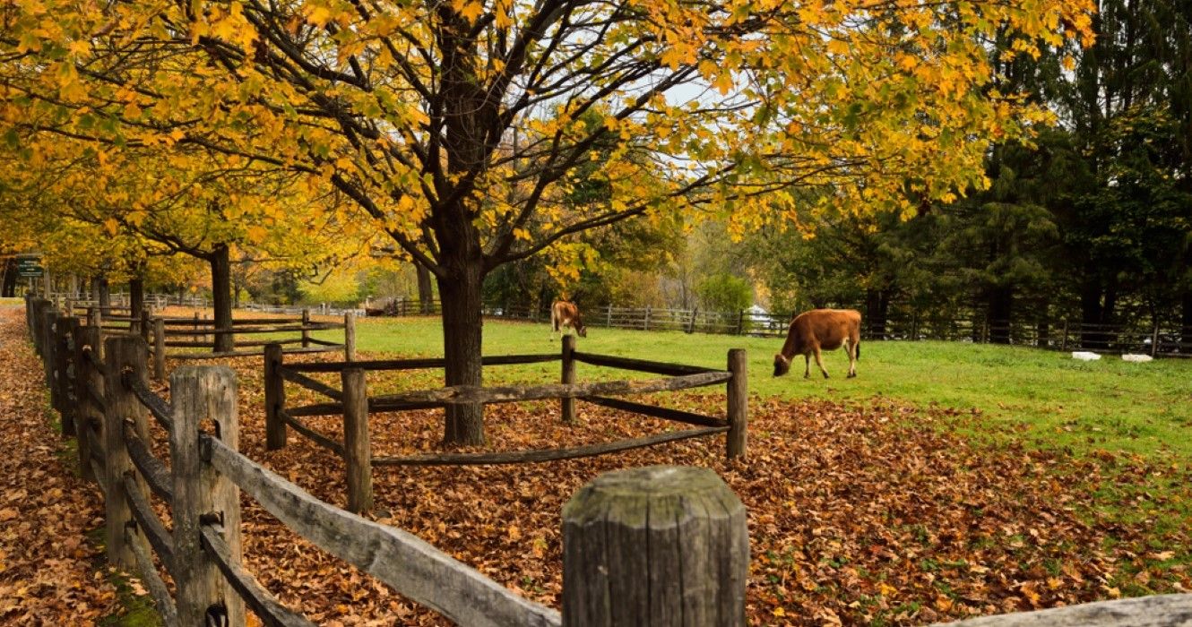 These Are The 10 Prettiest Vermont Towns To Visit For Christmas